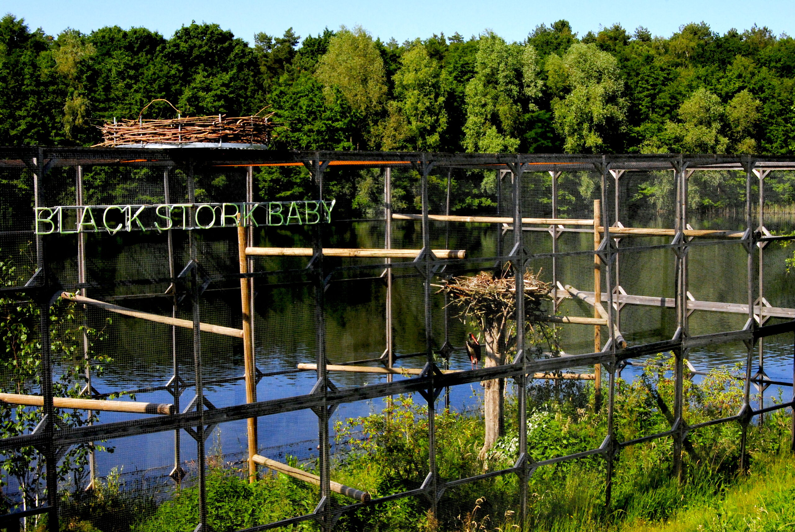 Echte wildheid is niet wreed - bladspiegel