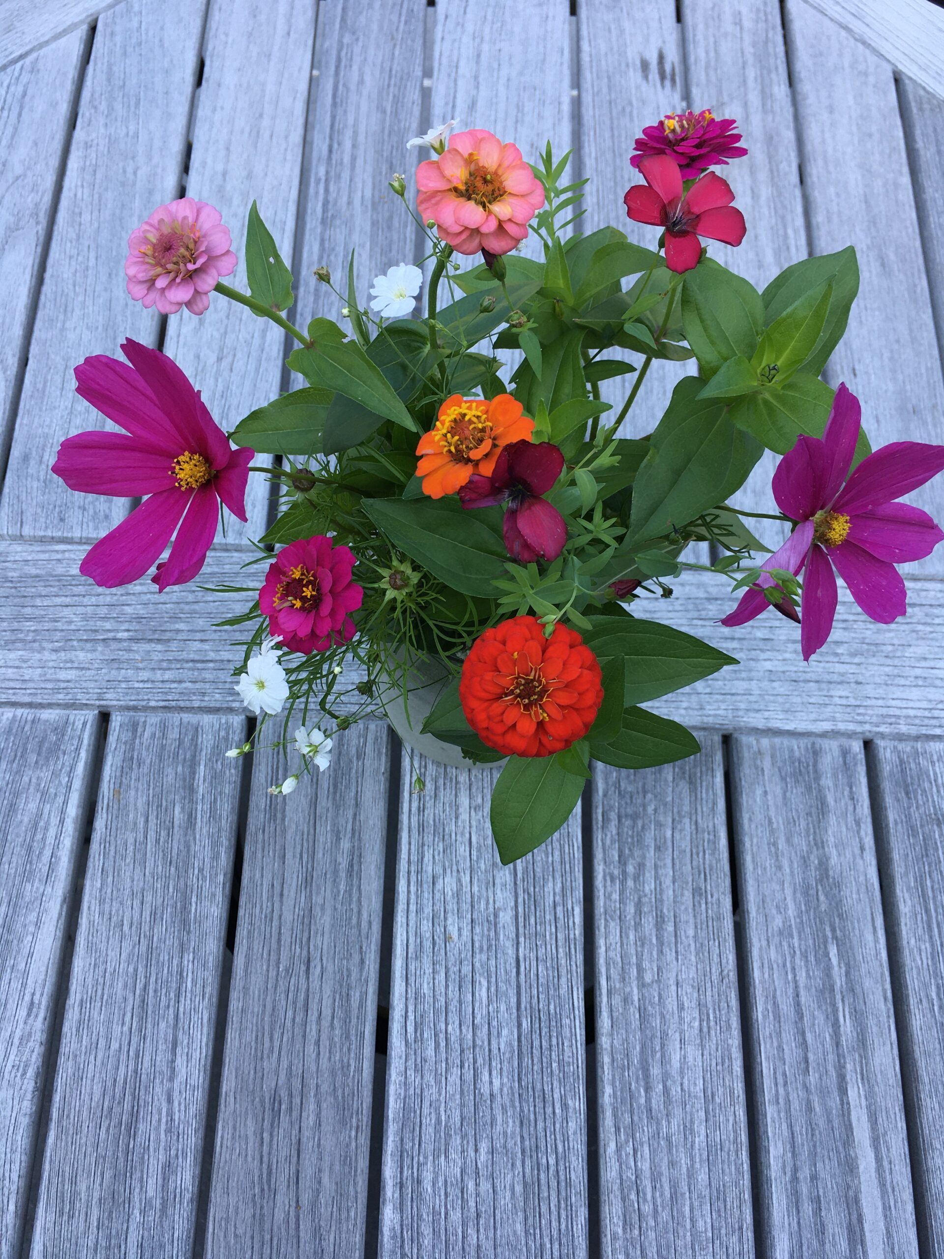 Corona flowers - Pintra (EN) Blog